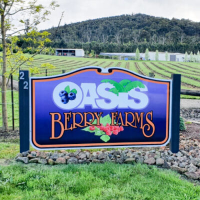 Oasis Berry Farms - Yarra Valley Theme Gardens & Blueberry Farm