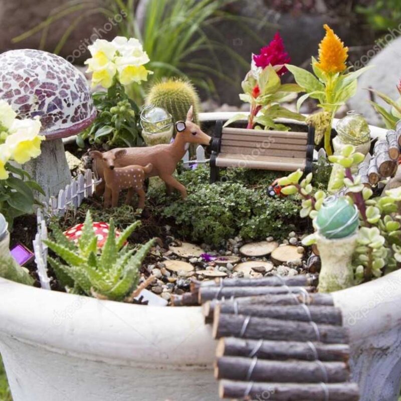 Oasis Berry Farms - Yarra Valley Theme Gardens & Blueberry Farm